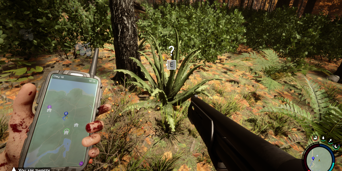 Где найти алоэ вера в Sons of the Forest - Device4Game
